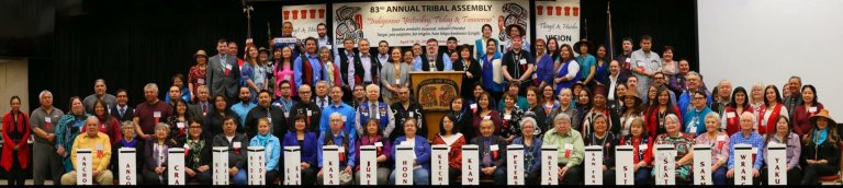 What is “Tribal Assembly”? (Updated) - San Francisco Tlingit & Haida ...